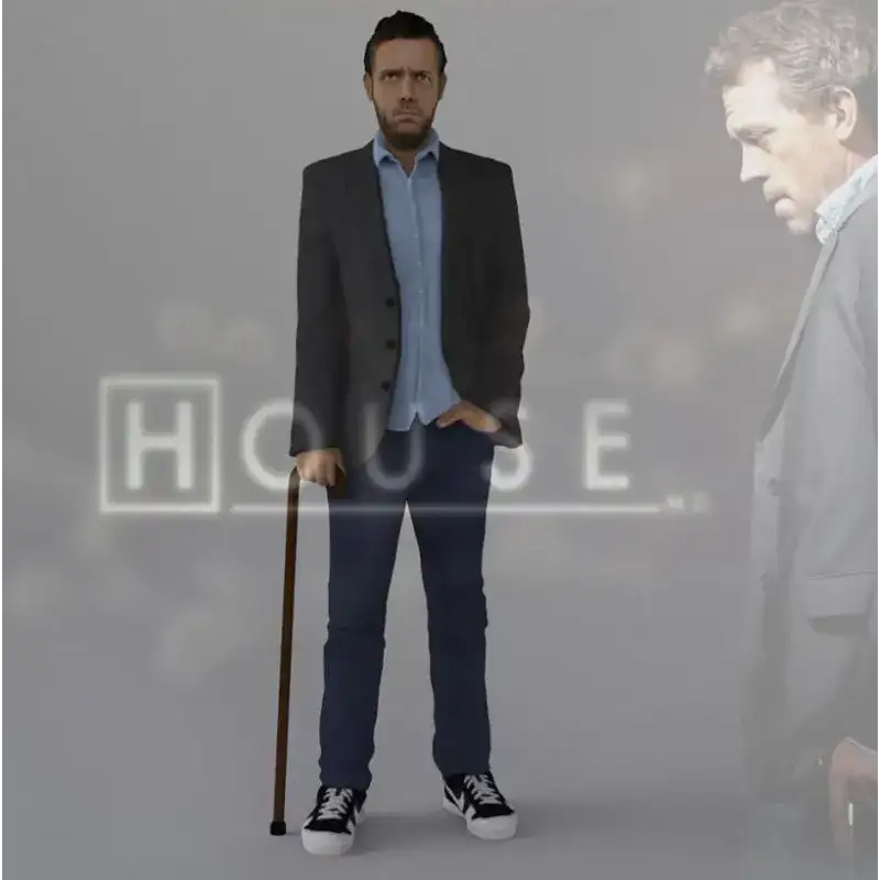 MD Gregory House - STL 3D print files