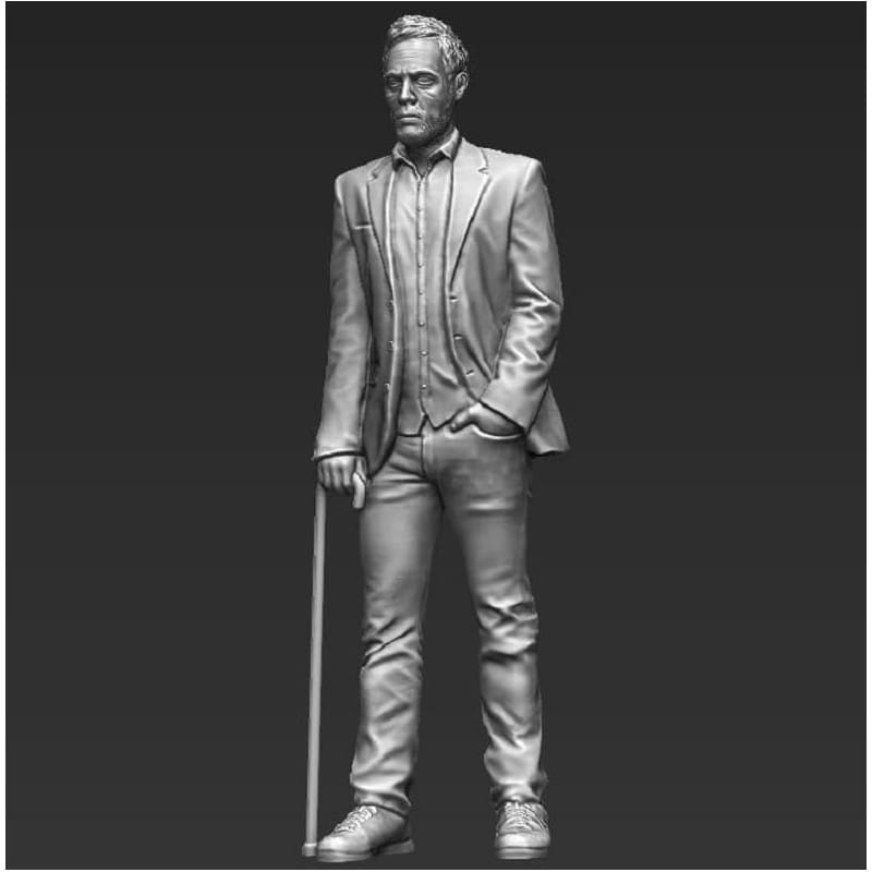 MD Gregory House - STL 3D print files
